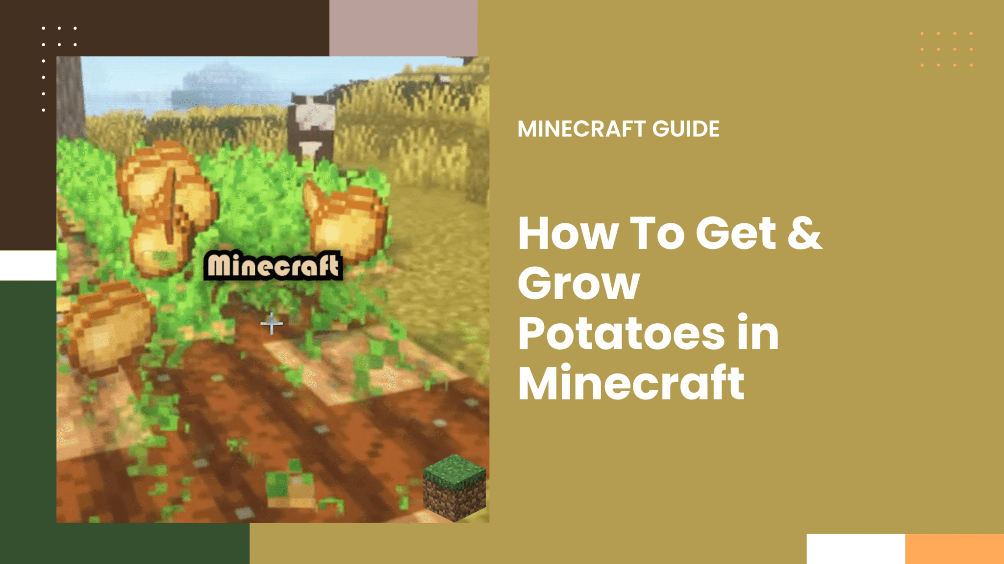 What Do Dolphins Eat In Minecraft? Feed, Treasure & Speed